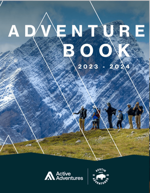 Travel Advisors Webinars